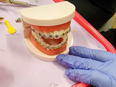 Illinois Health Careers | Healthcare Certification Training Programs